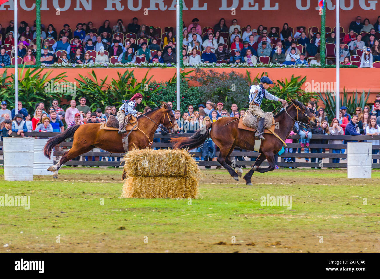 MONTEVIDEO, URUGUAY, SEPTEMBER - 2019 - Children horse race at ...