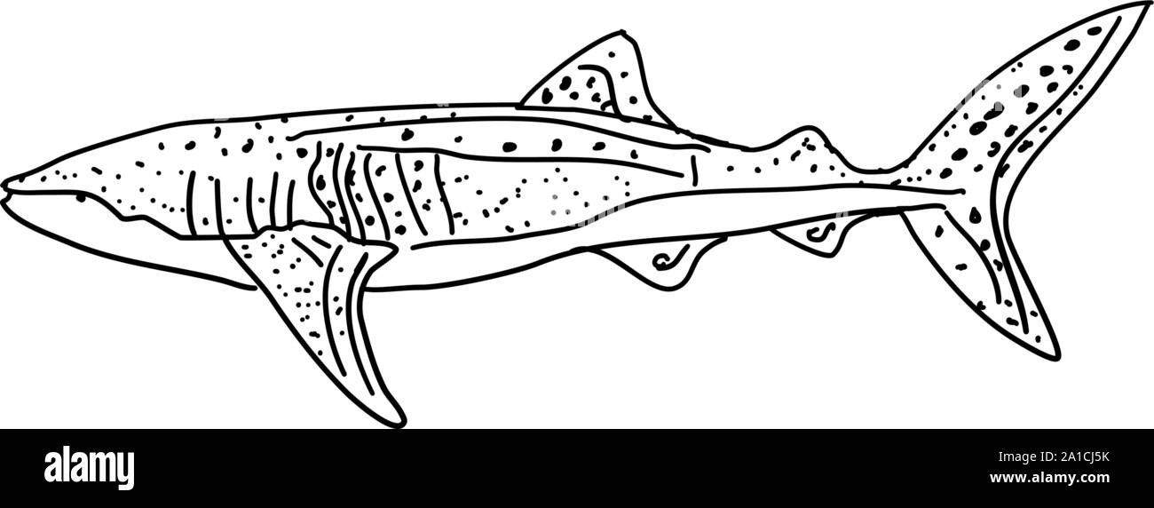 Fish drawing, illustration, vector on white background Stock Vector ...