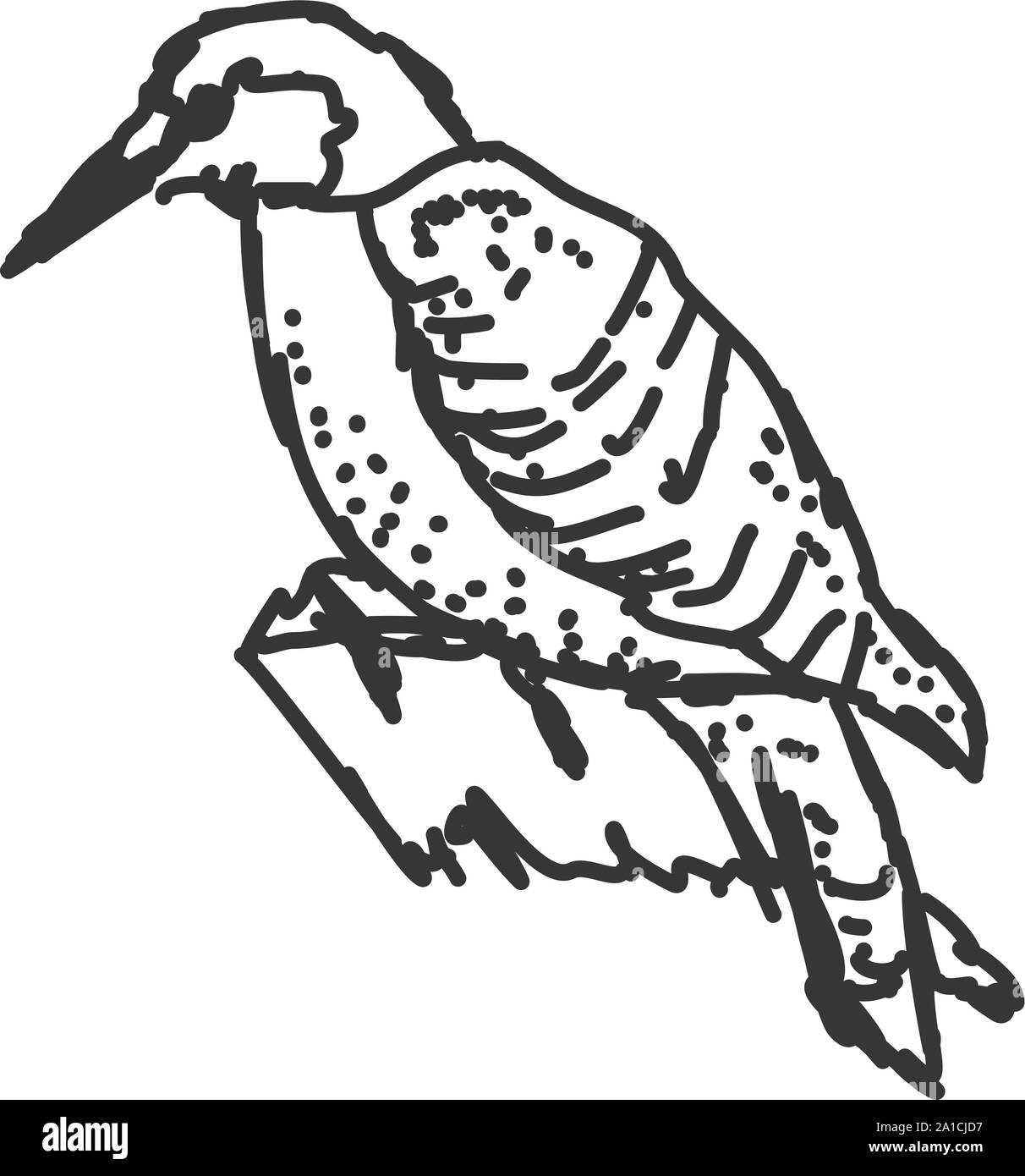 Bird drawing, illustration, vector on white background Stock Vector ...