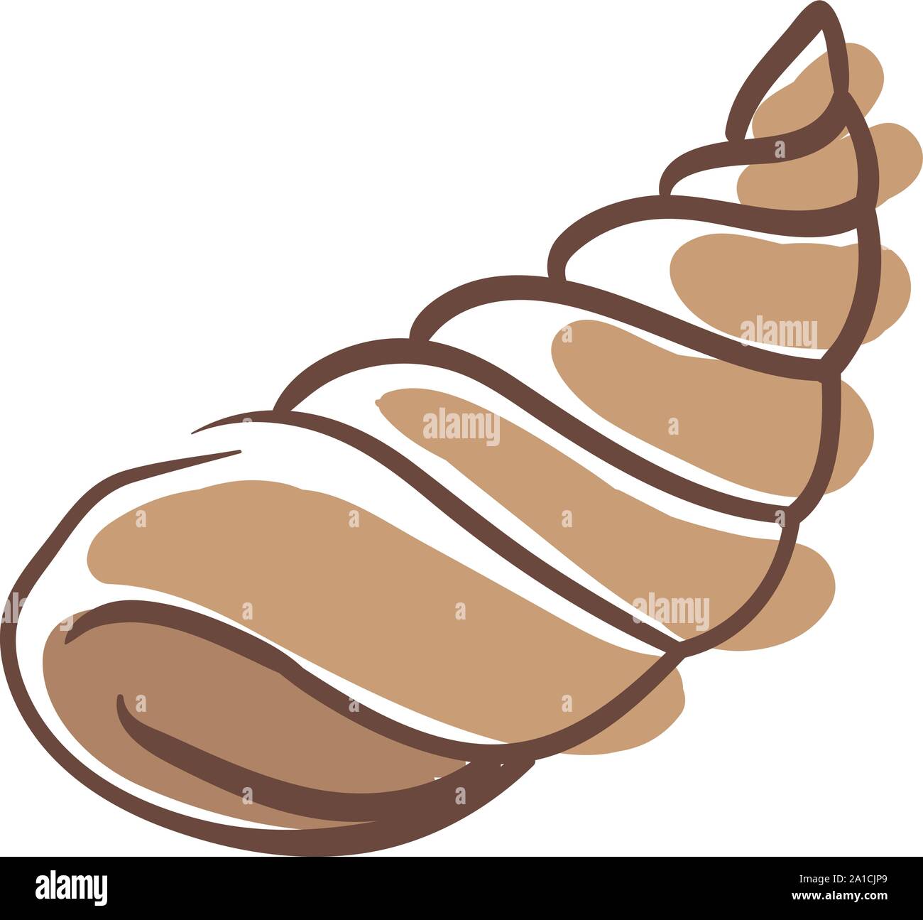Shell drawing, illustration, vector on white background Stock Vector ...