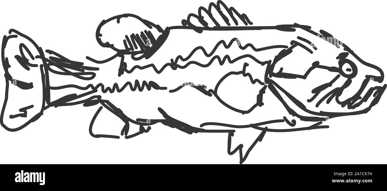 Fish drawing, illustration, vector on white background Stock Vector ...