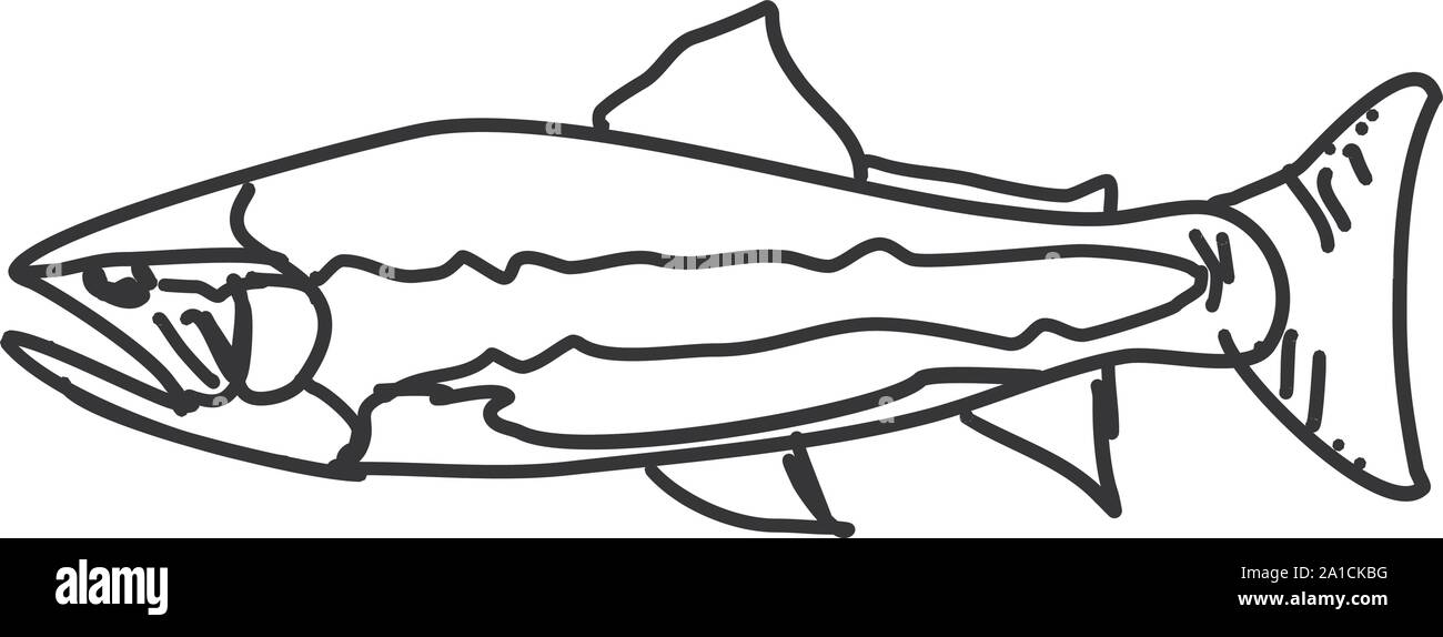 Fish drawing, illustration, vector on white background Stock Vector ...