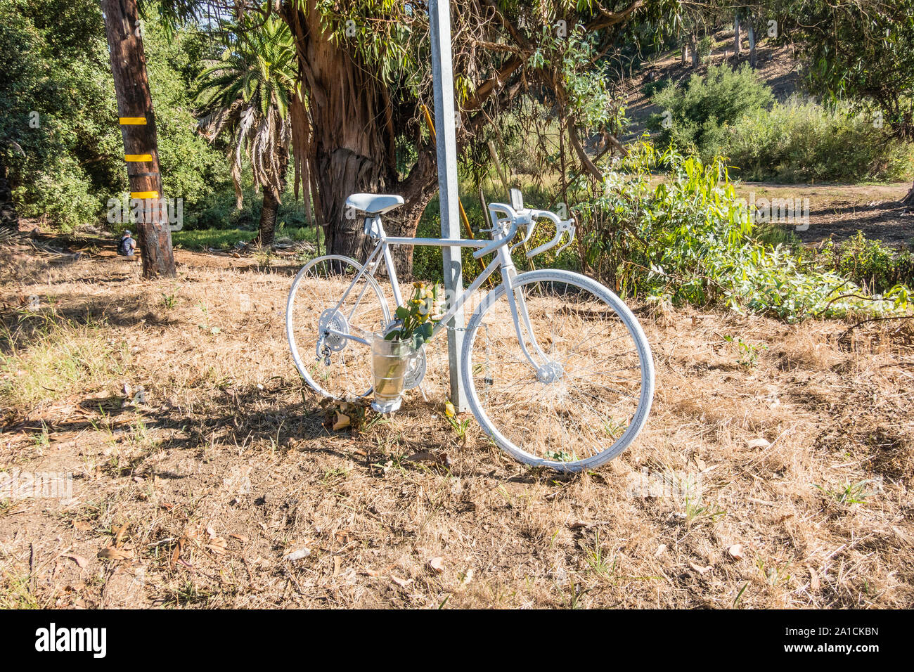 Roadside memorial to a bikers death with a bicycle painted all white ...