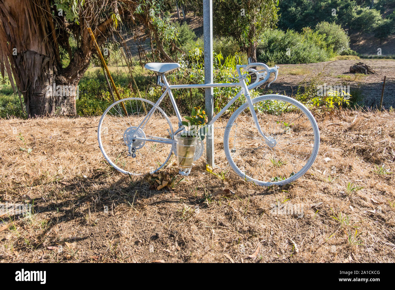 Roadside memorial to a bikers death with a bicycle painted all white ...
