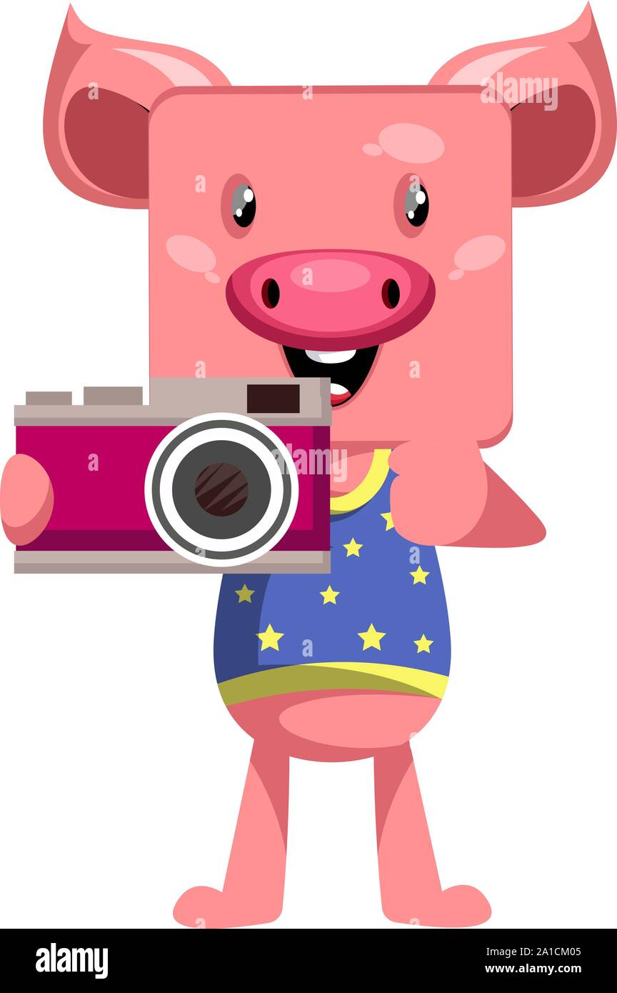 Pig with camera, illustration, vector on white background Stock Vector ...