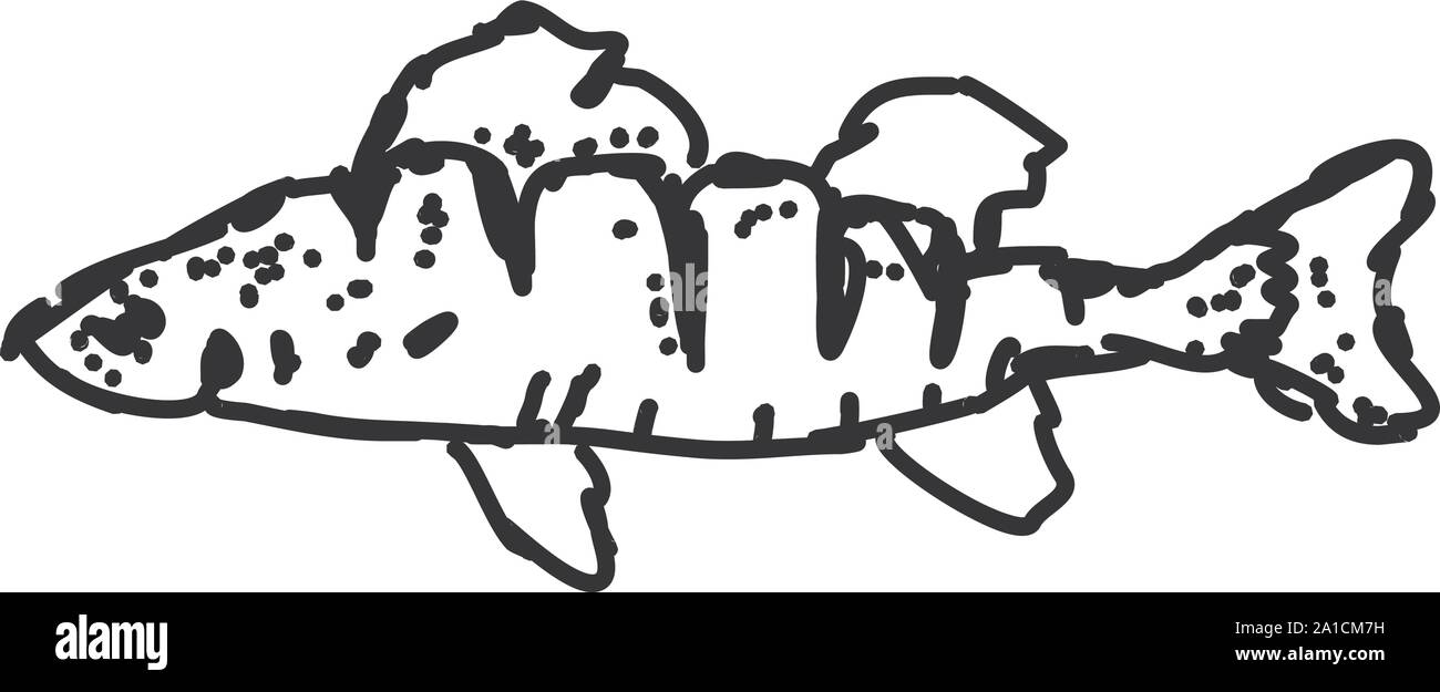Fish drawing, illustration, vector on white background Stock Vector ...