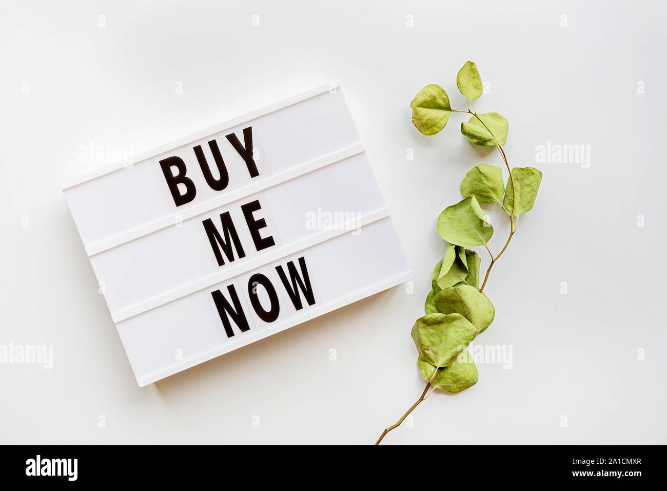 Creative promotion composition buy me now text on lightbox, eucalyptus ...