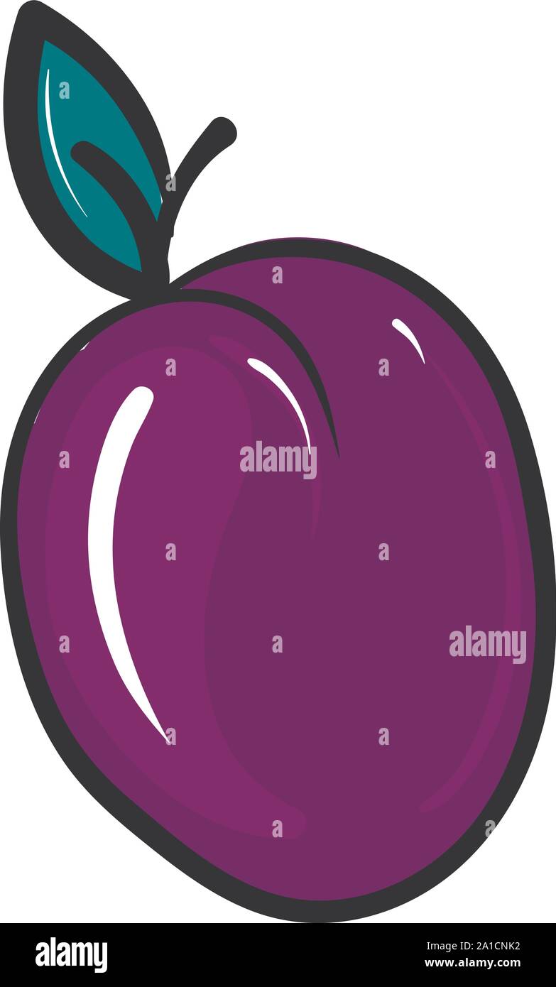 Flat plum, illustration, vector on white background Stock Vector Image ...