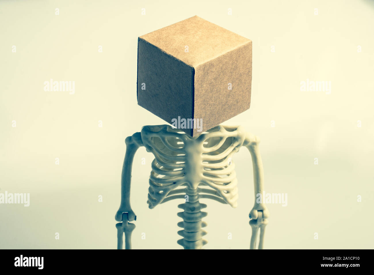 artificial human body model skeleton with a box on his skull Stock ...