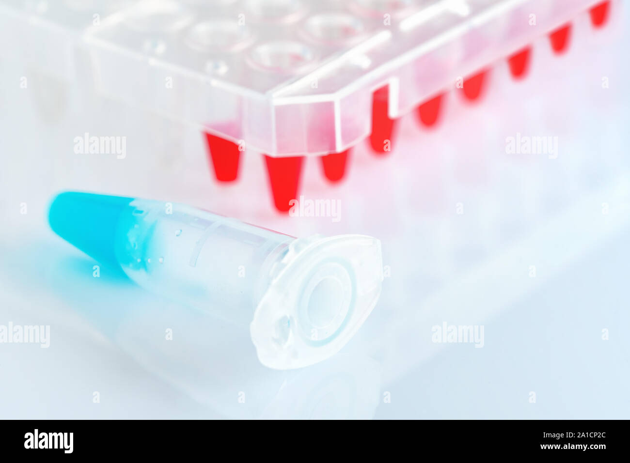 Science and molecular biology background with text space. Plastic tube ...