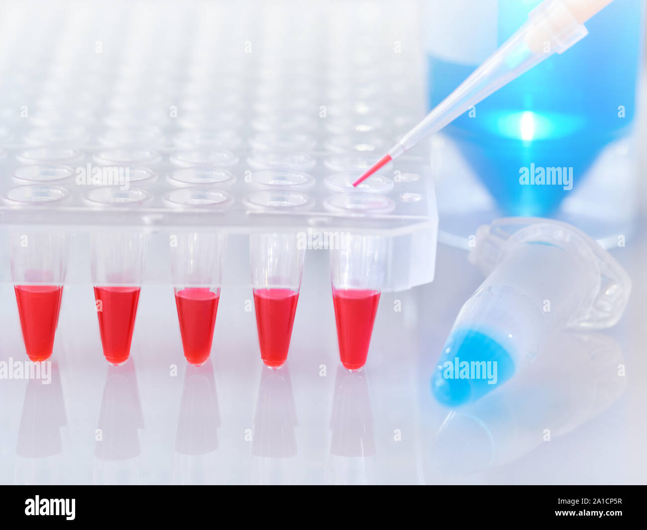 Science and molecular biology background with text space. Plastic tube ...