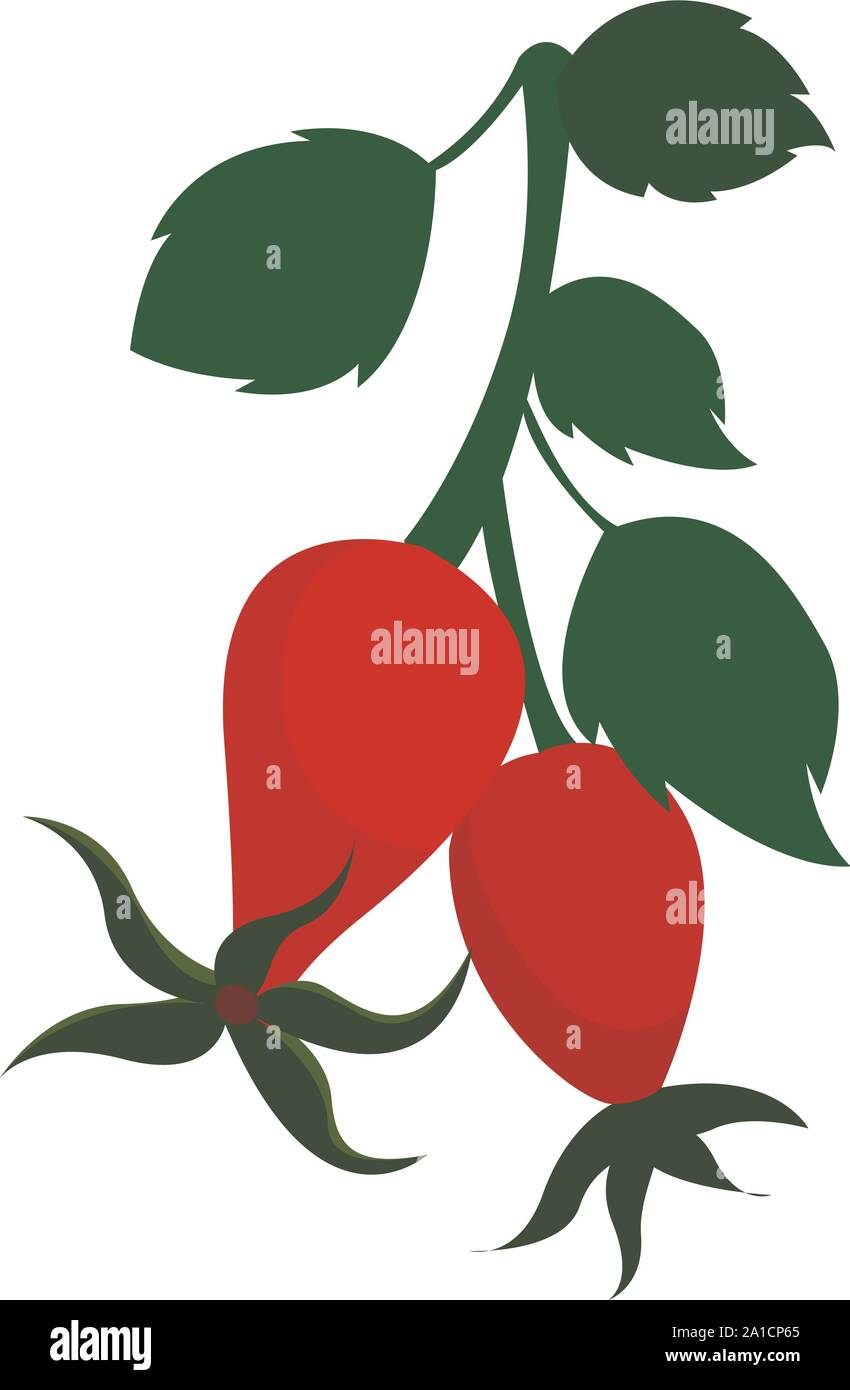 Red rose on autumn Stock Vector Images - Alamy