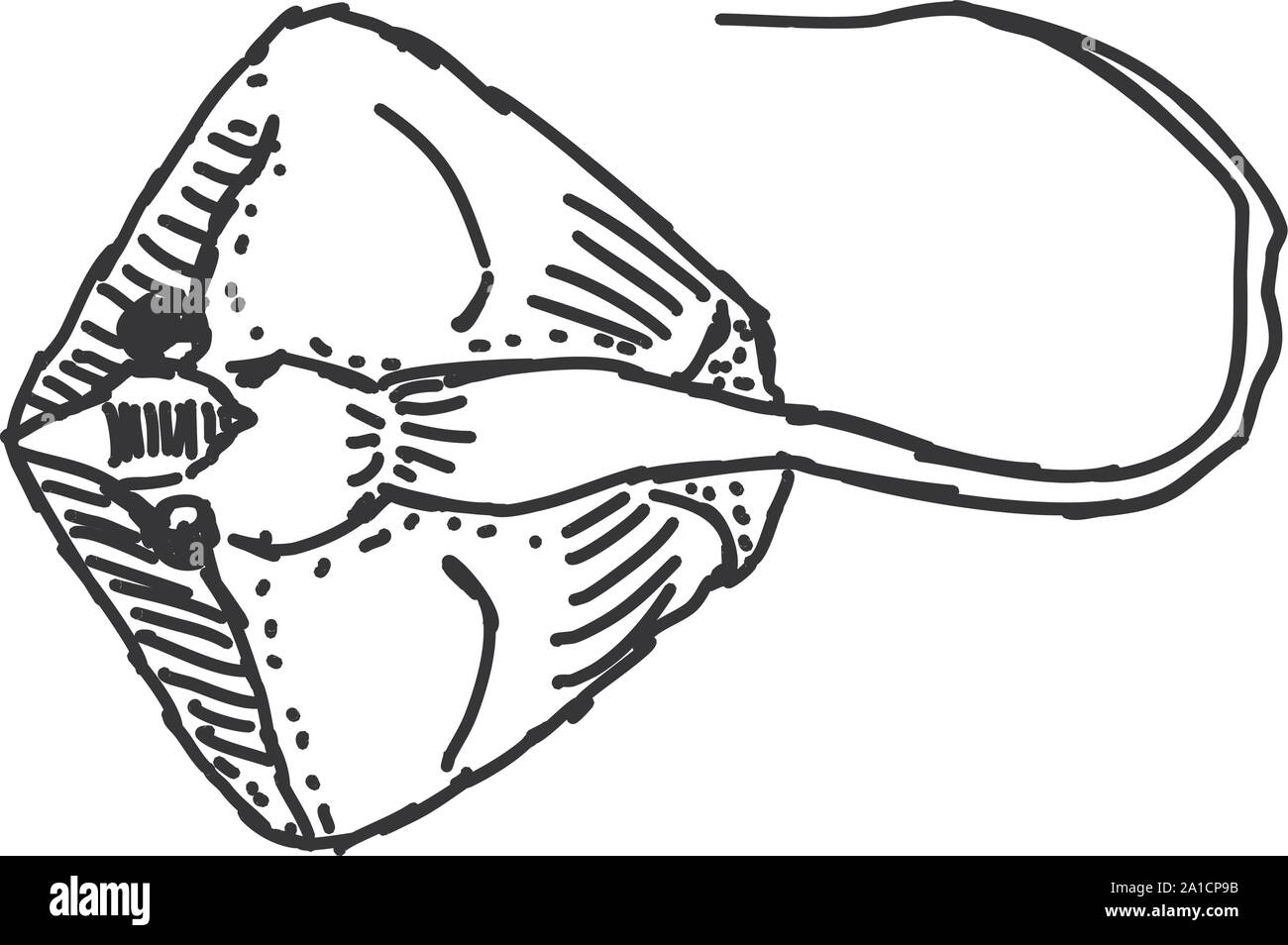 Fish drawing, illustration, vector on white background Stock Vector ...