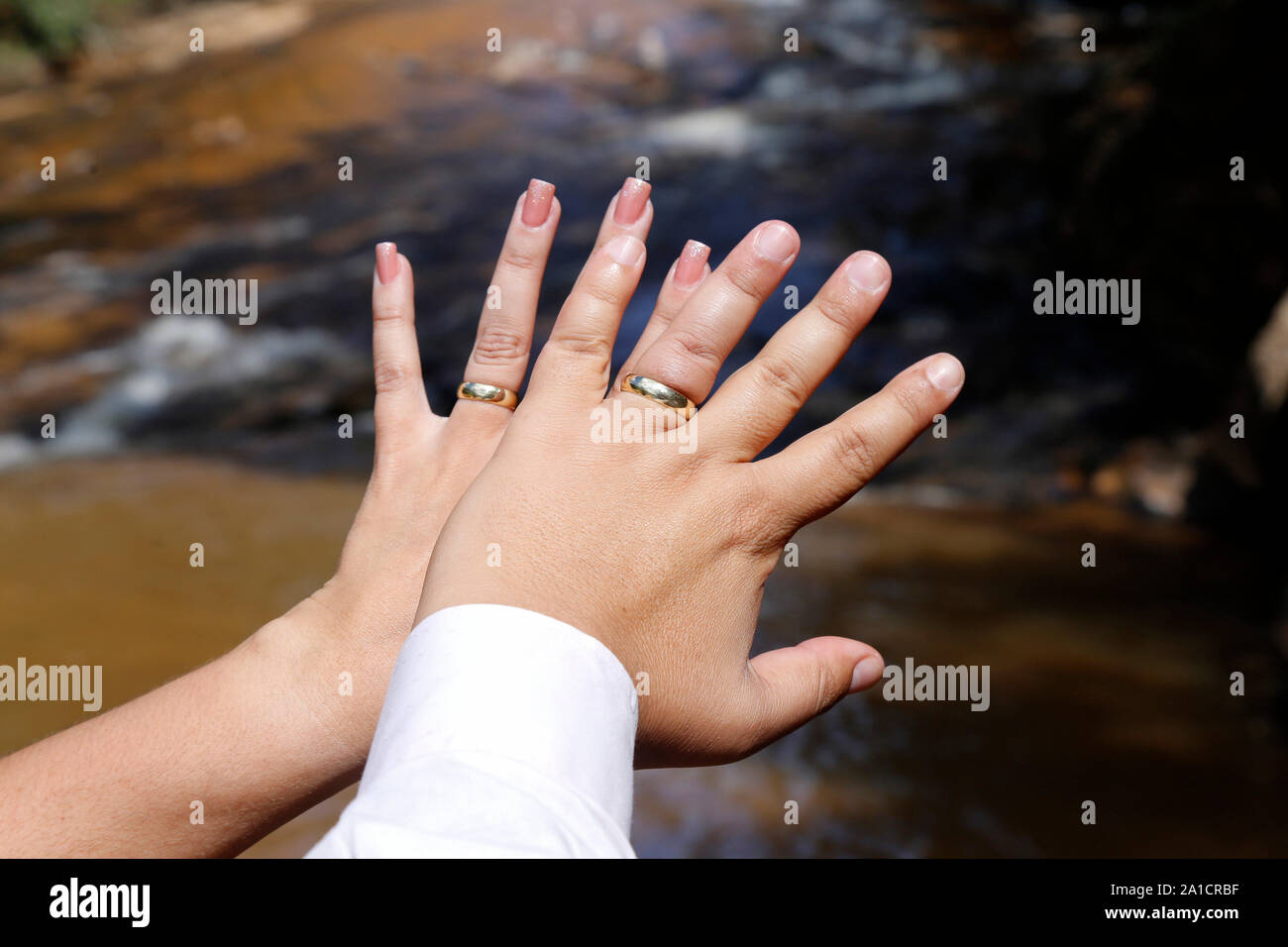 Grooms hands joined using wedding rings - golden wedding rings Stock ...