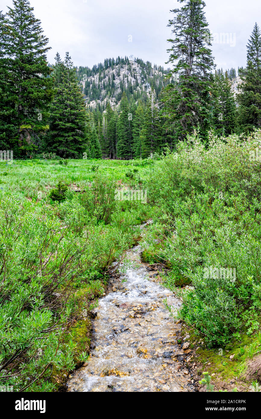 Spring albion hi-res stock photography and images - Alamy