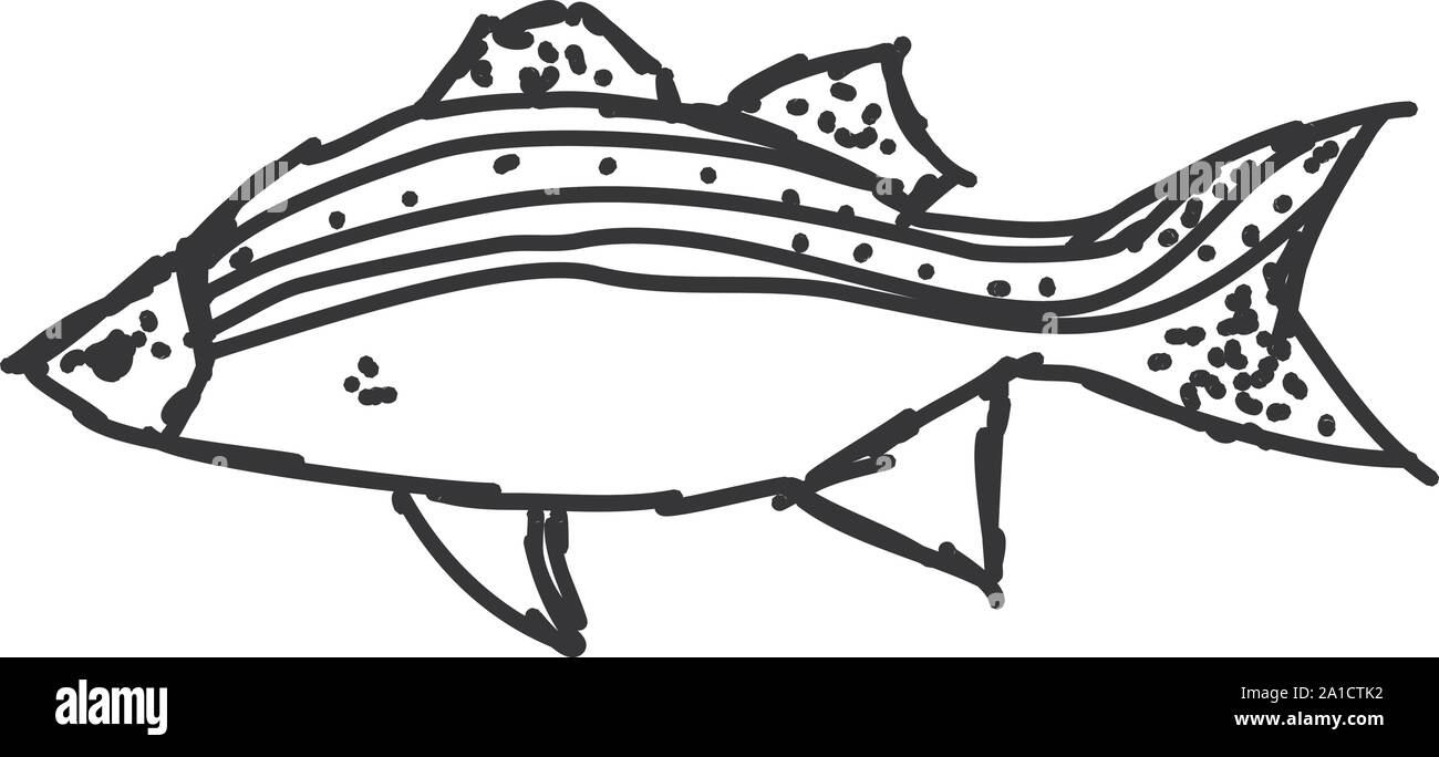 Fish drawing, illustration, vector on white background Stock Vector ...