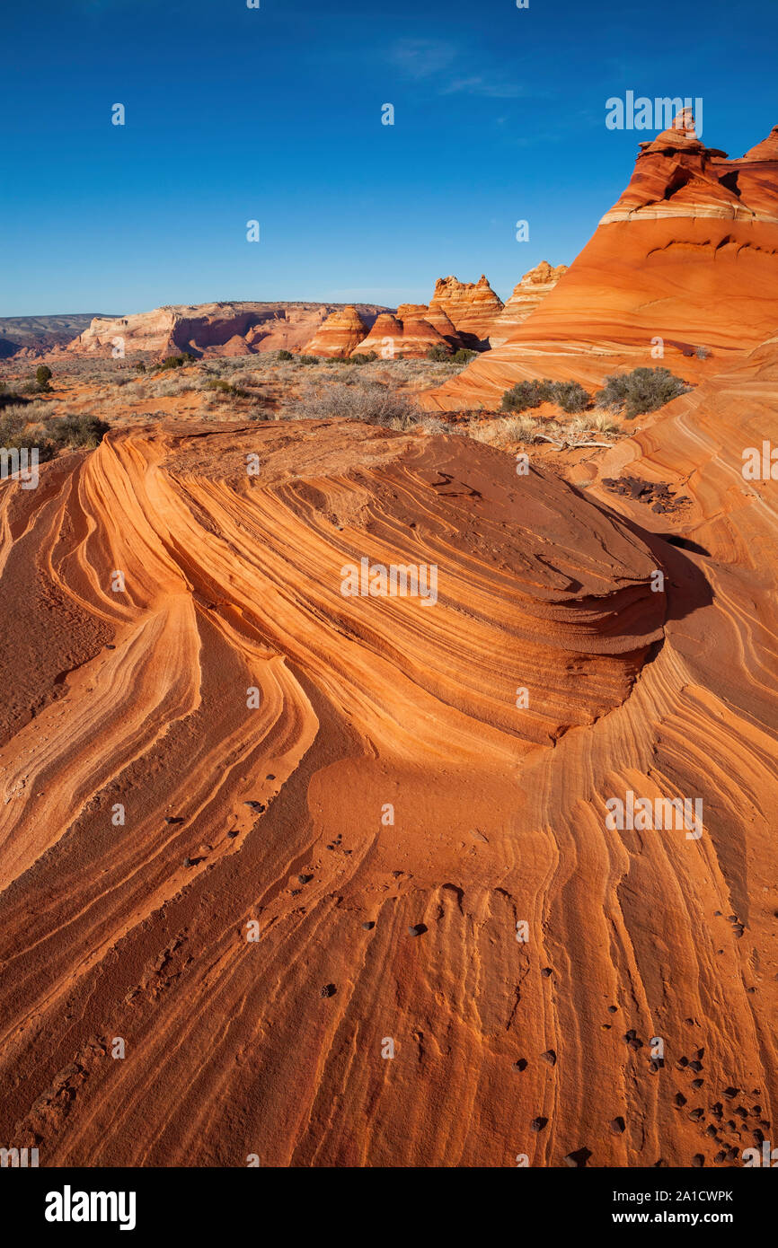 Layered sandstone under a blue afternoon sky, Vermilion Cliffs National ...