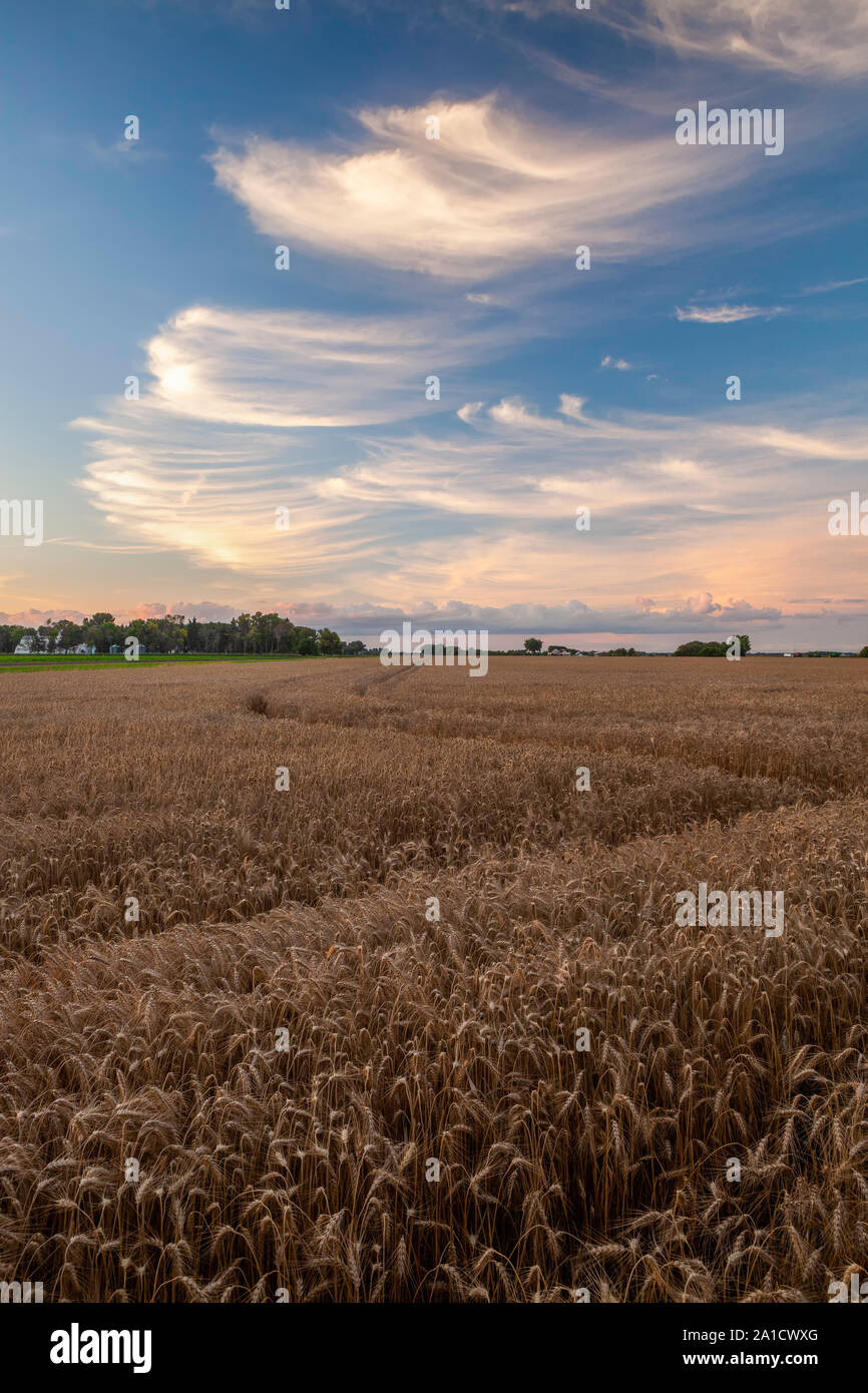 Wispy clouds hi-res stock photography and images - Alamy
