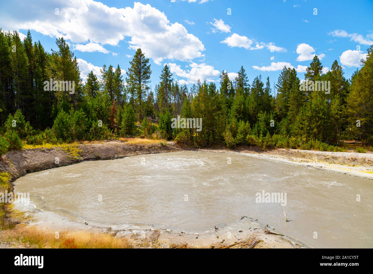 Black dragons hi-res stock photography and images - Alamy