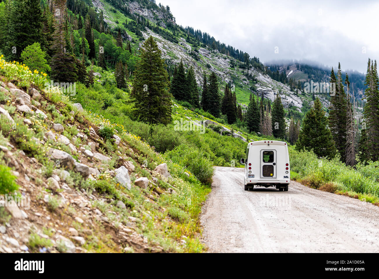 Alta, USA - July 27, 2019: Albion Basin, Utah summer with back of ...