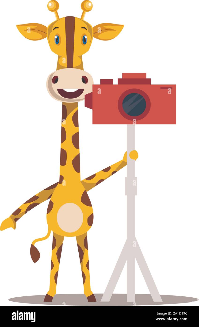 Giraffe with camera, illustration, vector on white background Stock ...