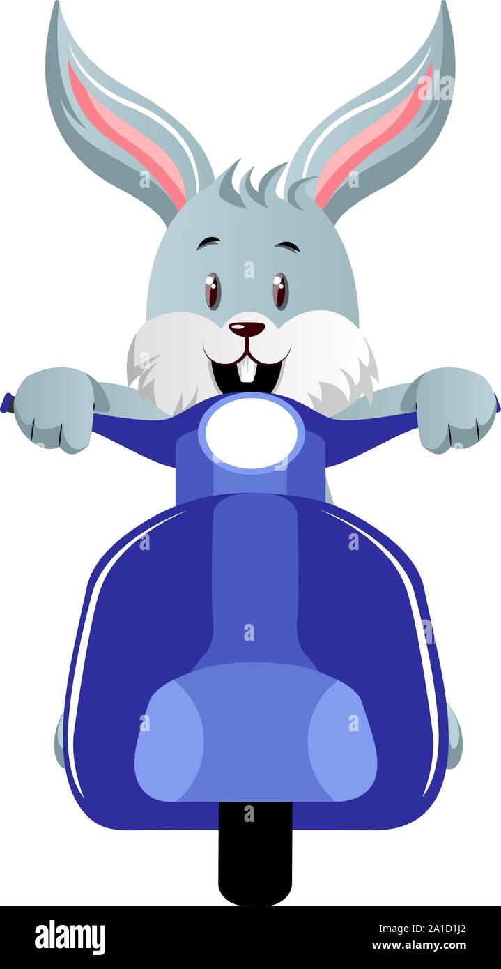 Bunny with scooter, illustration, vector on white background Stock ...