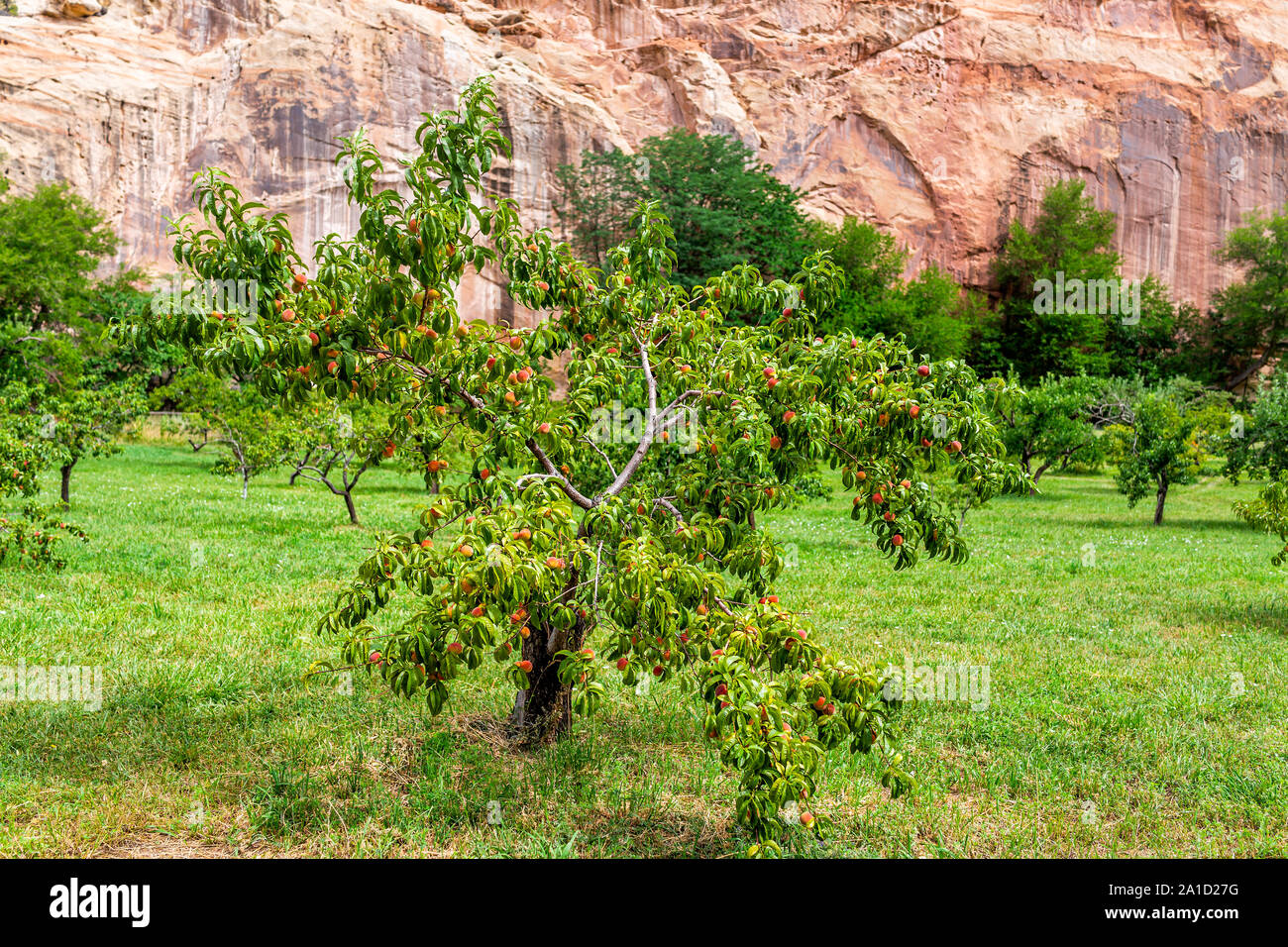 Peach formation hi-res stock photography and images - Alamy