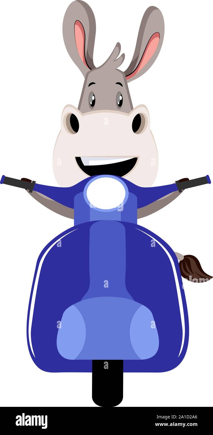 Donkey on scooter, illustration, vector on white background Stock ...