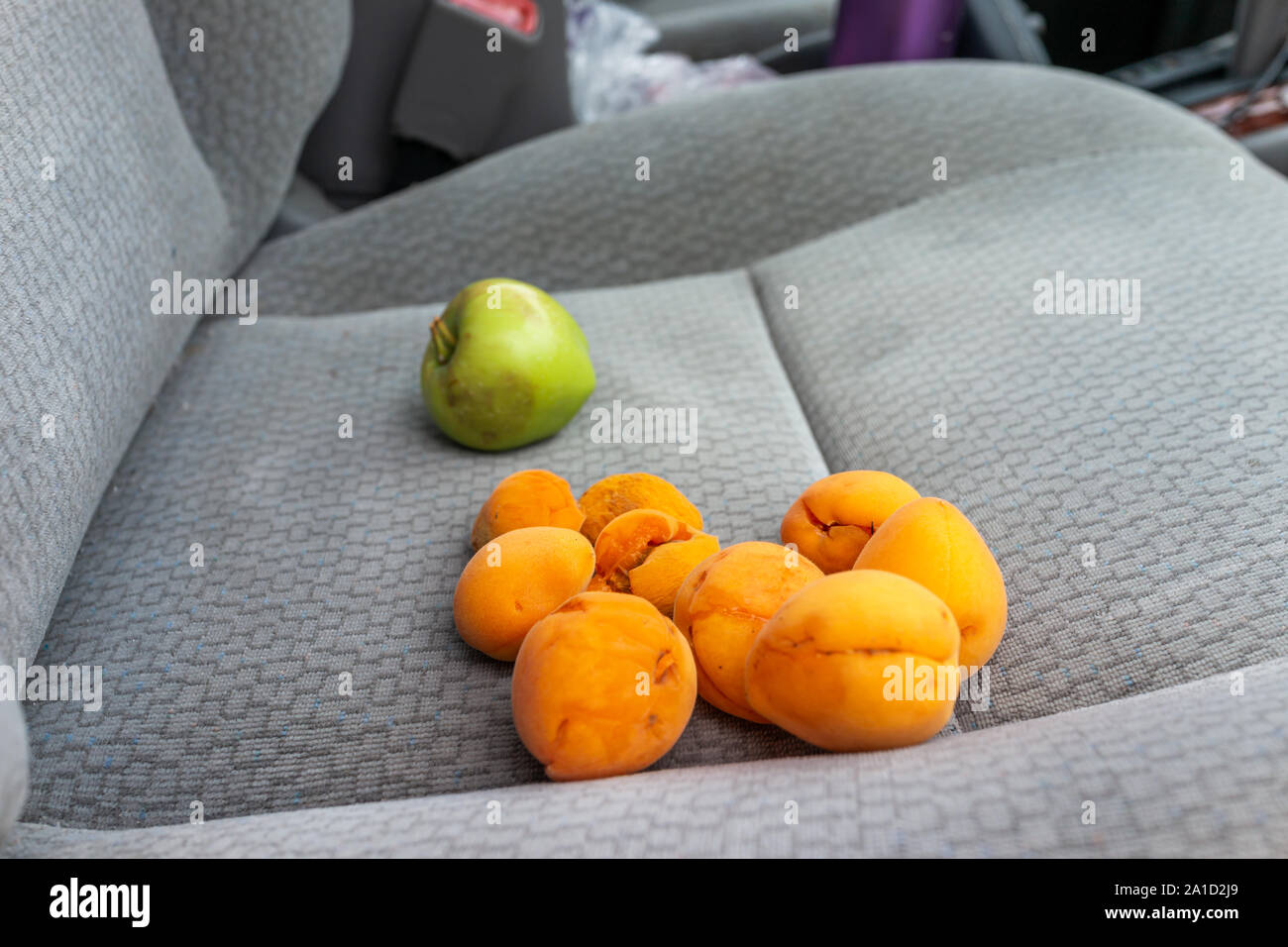 Apricots harvest of ripe orange yellow fruit and green apple on ...