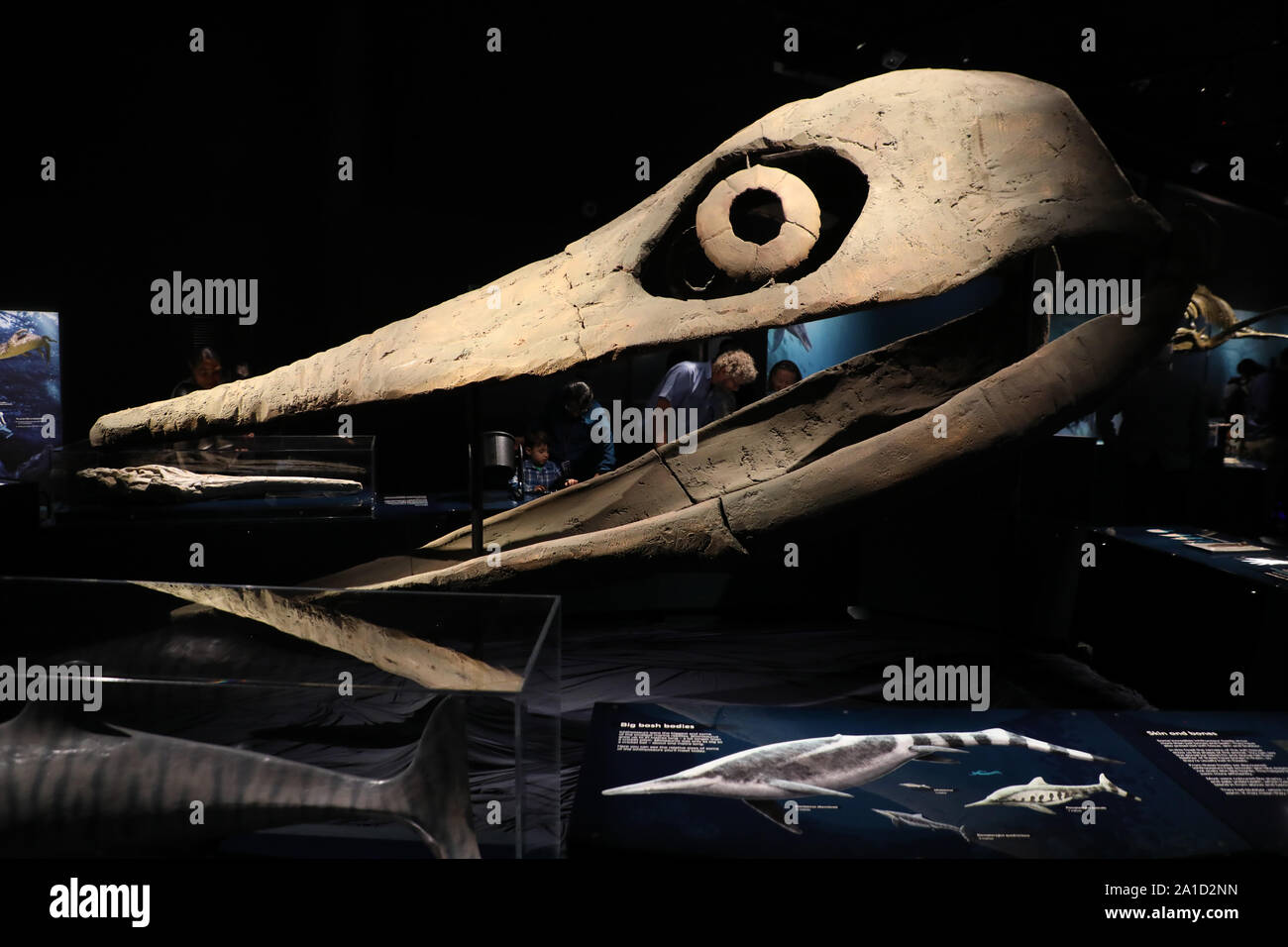 Sydney, Australia. 26th September 2019. Sea Monsters: Prehistoric Ocean ...