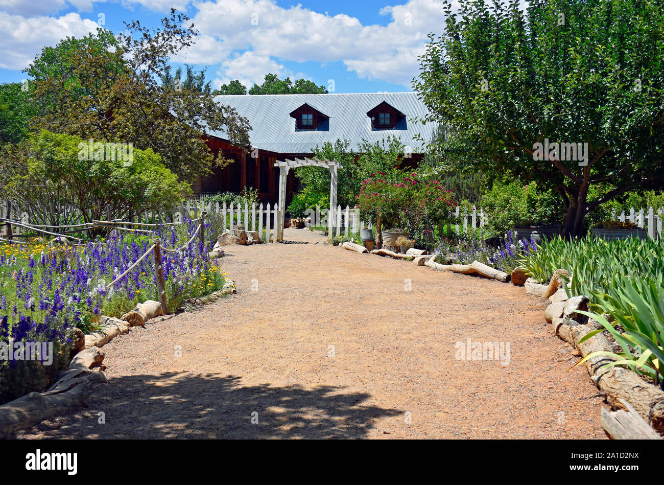Farmhouse Path surrounded by wildflowers in New Mexico Stock Photo - Alamy