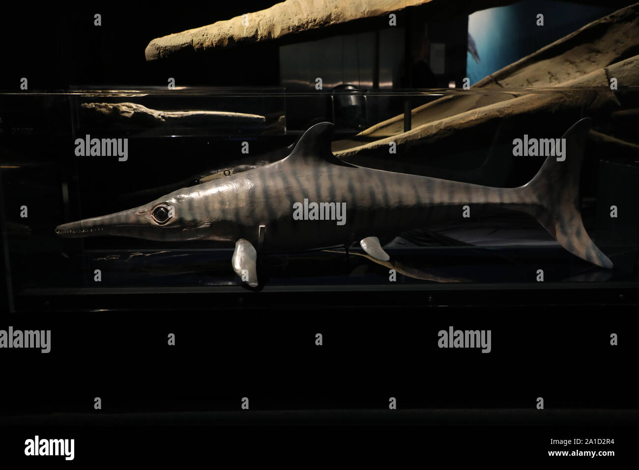 Prehistoric sea monsters hi-res stock photography and images - Alamy