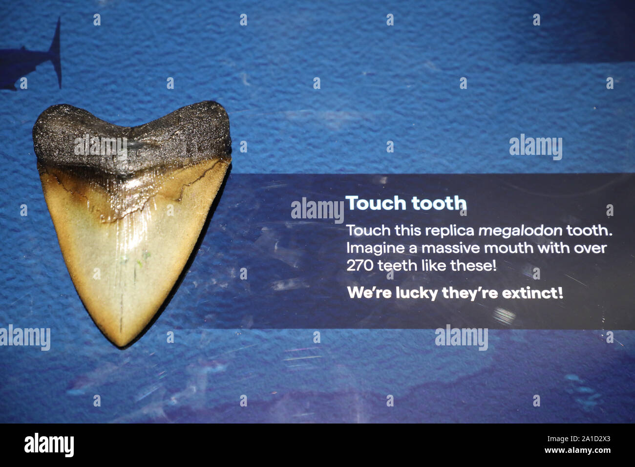 Real life replica hi-res stock photography and images - Alamy