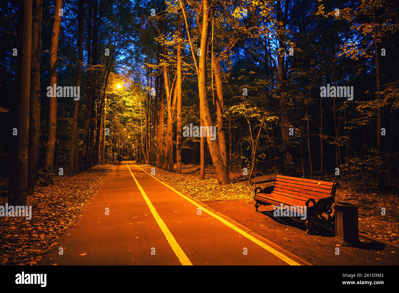 Pathway night hi-res stock photography and images - Alamy