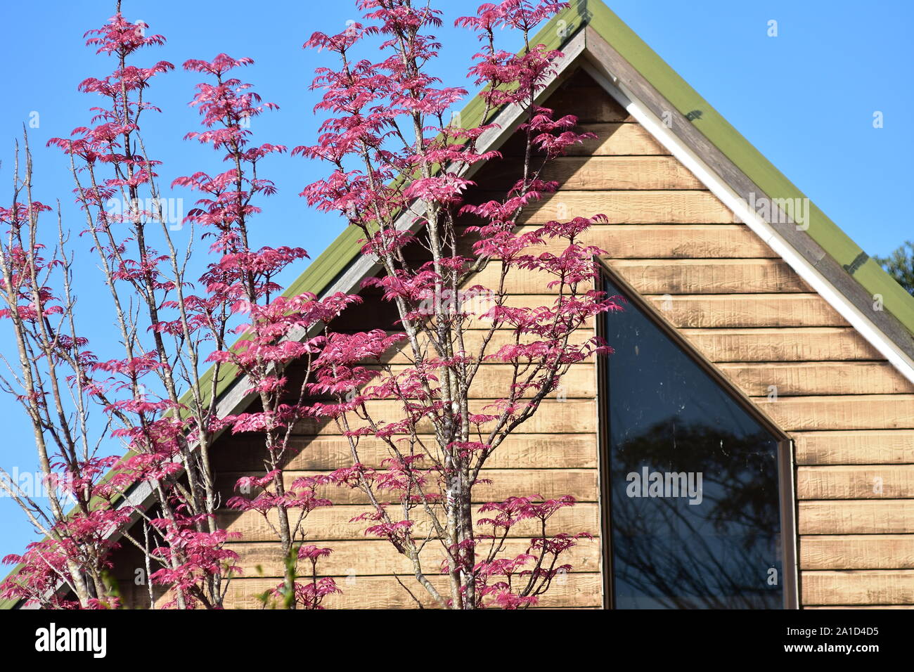 Gable roof hi-res stock photography and images - Alamy