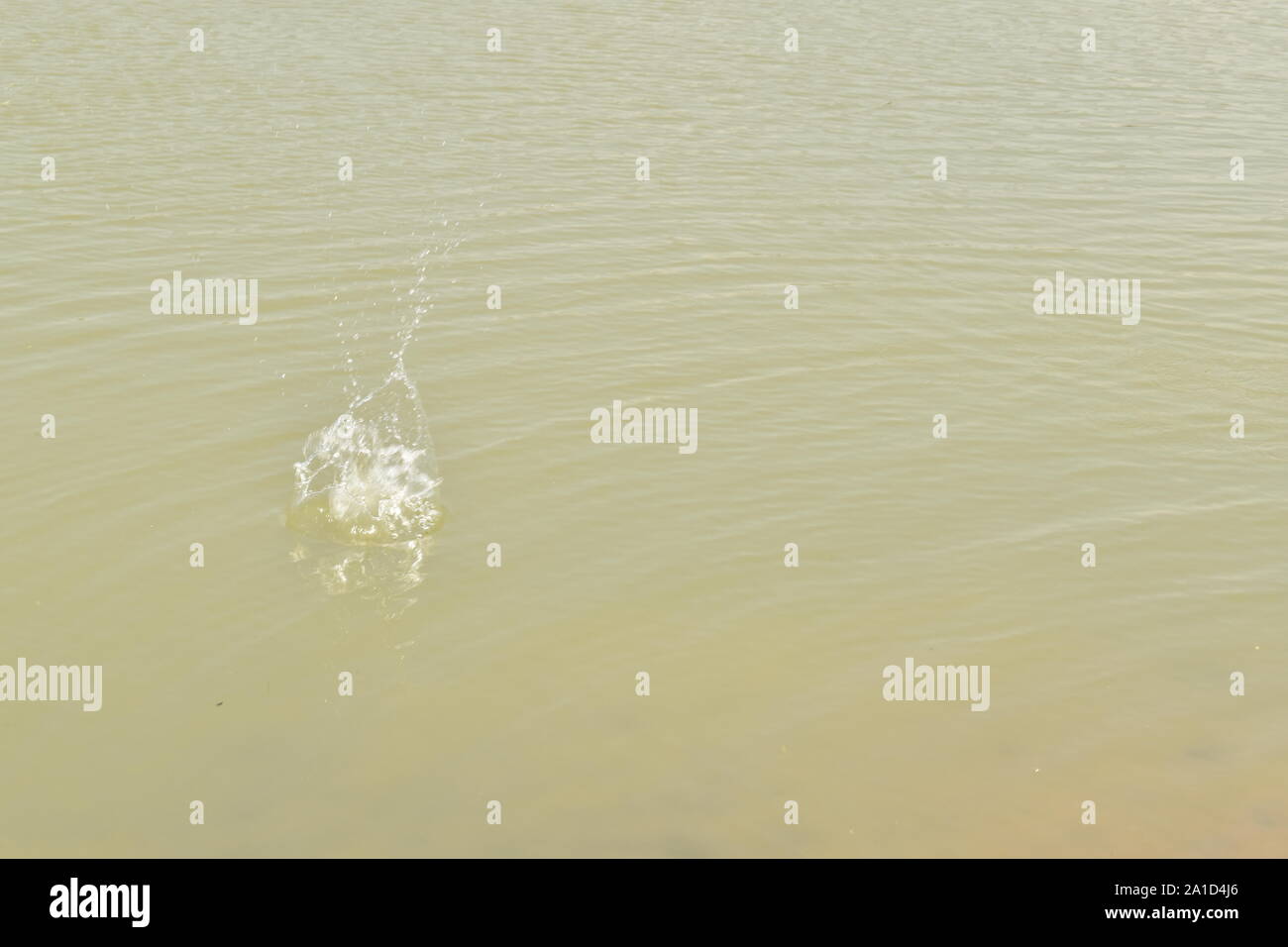 Throw stone ripple hi-res stock photography and images - Alamy