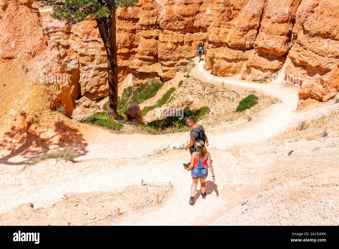 Woman hiking on navajo loop trail hi-res stock photography and images ...