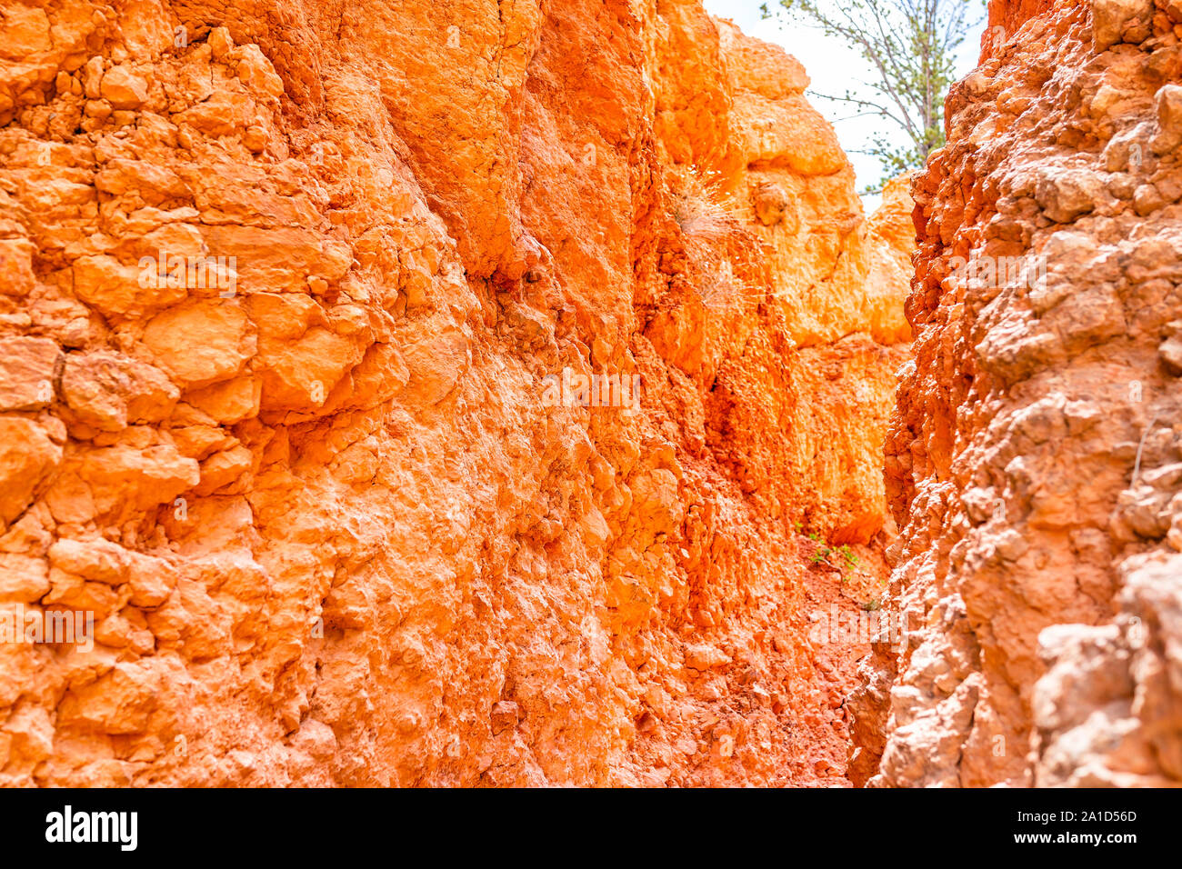 Abstract closeup of orange color formations cliff wall at Queens Garden ...