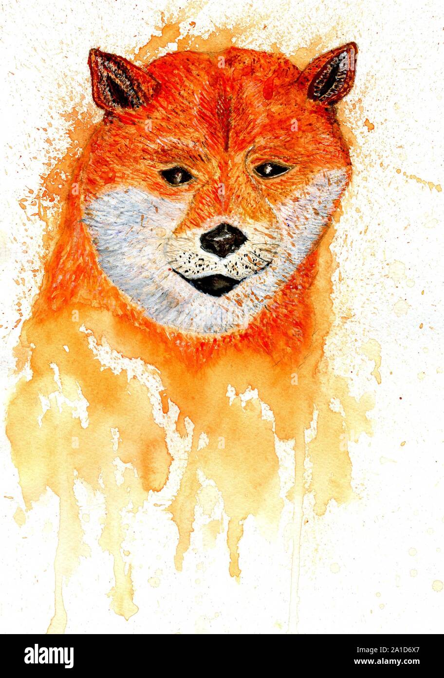 Portrait of cute yellow dog illustration, painted in watercolor Stock ...