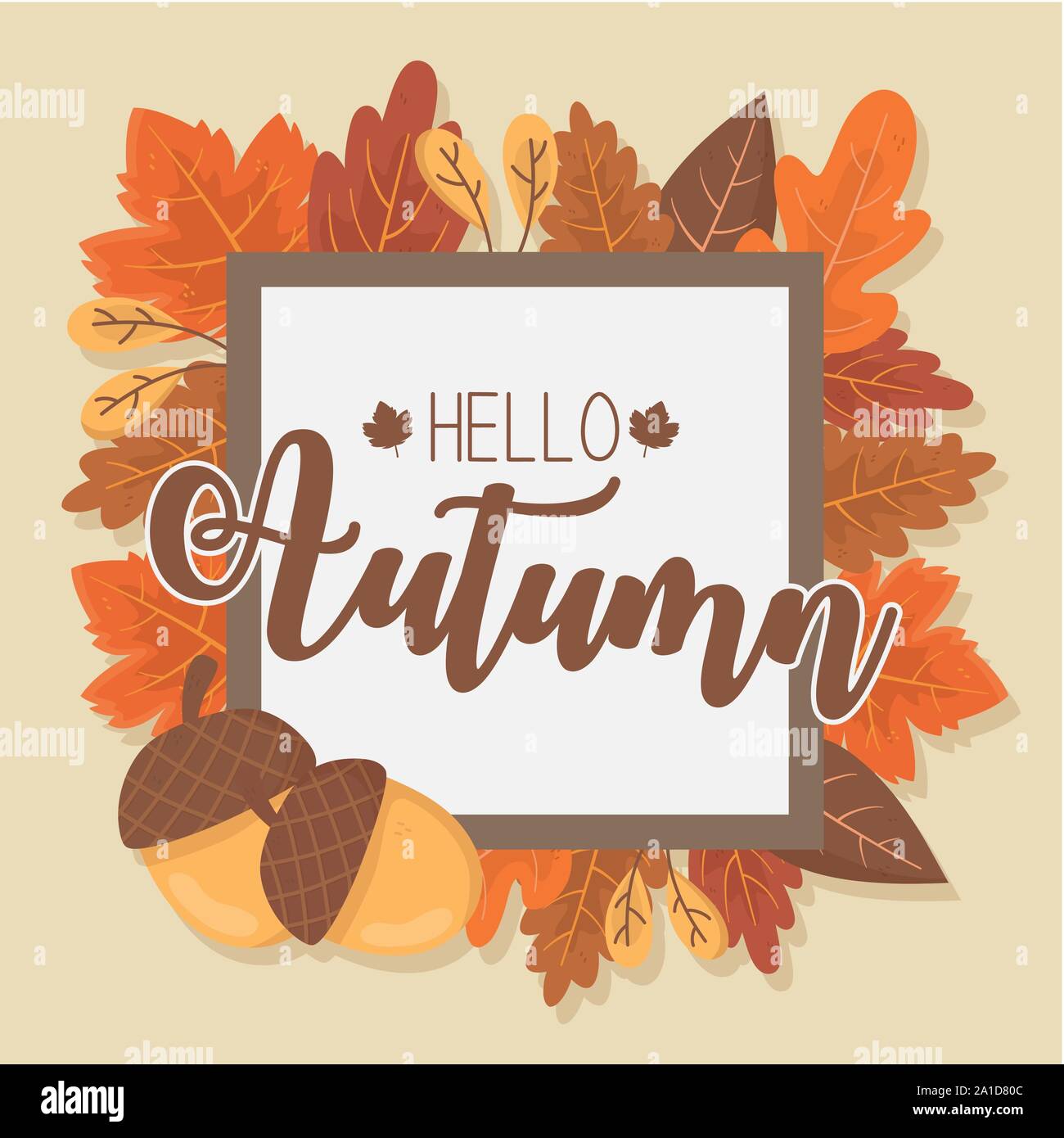 hello autumn lettering foliage leaves acorns season vector illustration ...