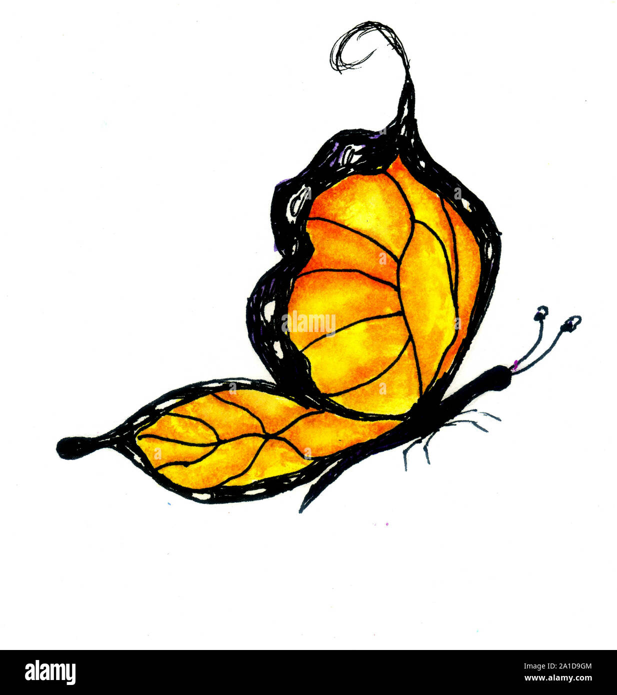 Watercolor of the bright butterfly, hand drawn illustration Stock Photo ...