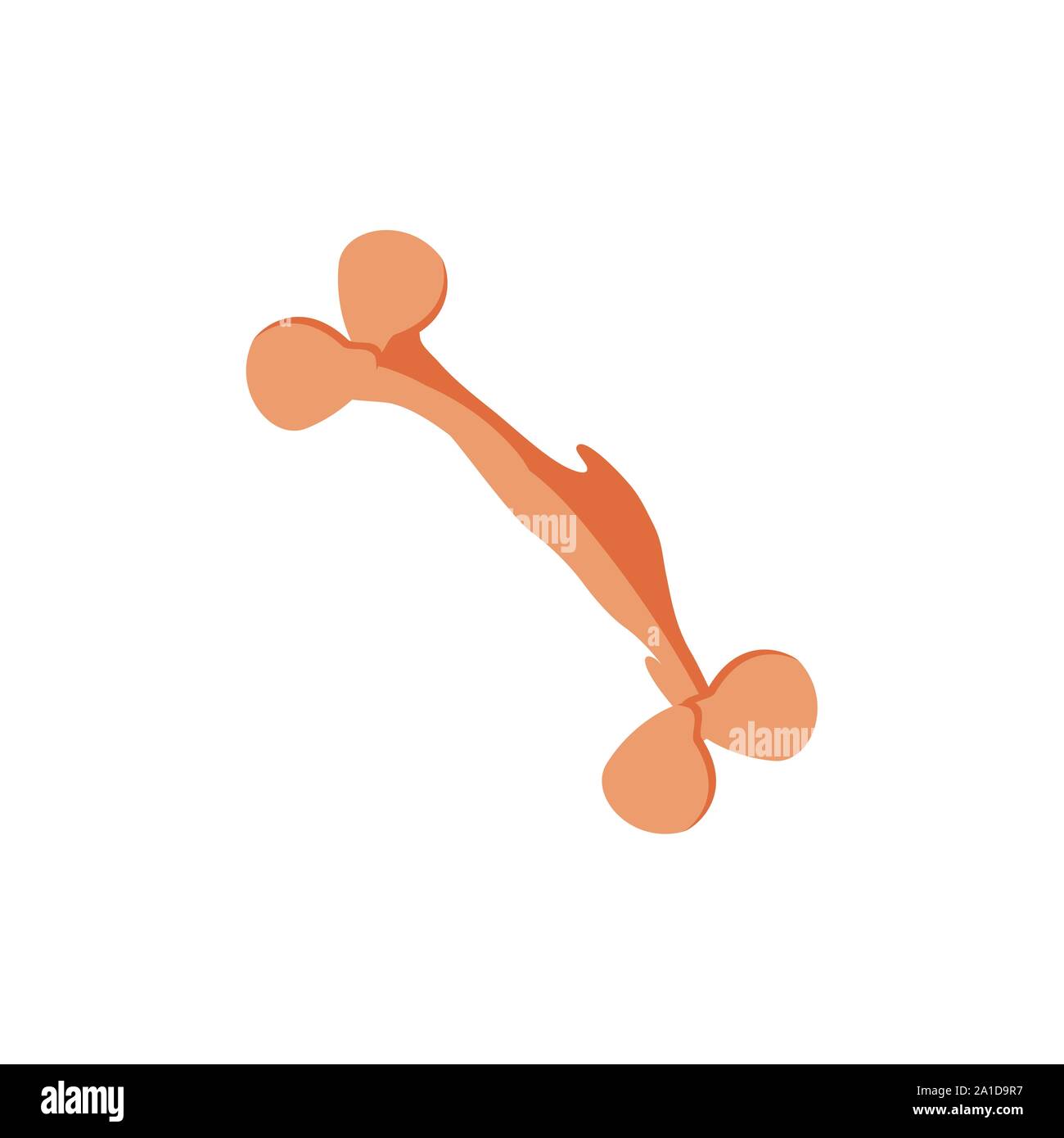 bone of dead on white background vector illustration design Stock ...