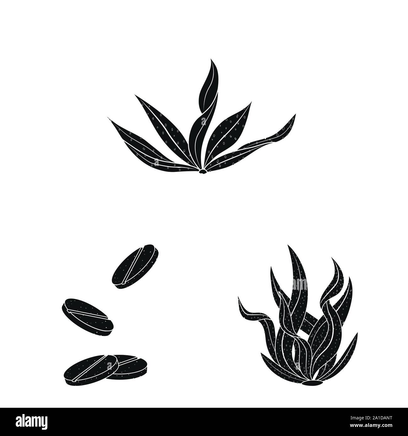 Vector Vectors Stock Vector Image & Art - Alamy