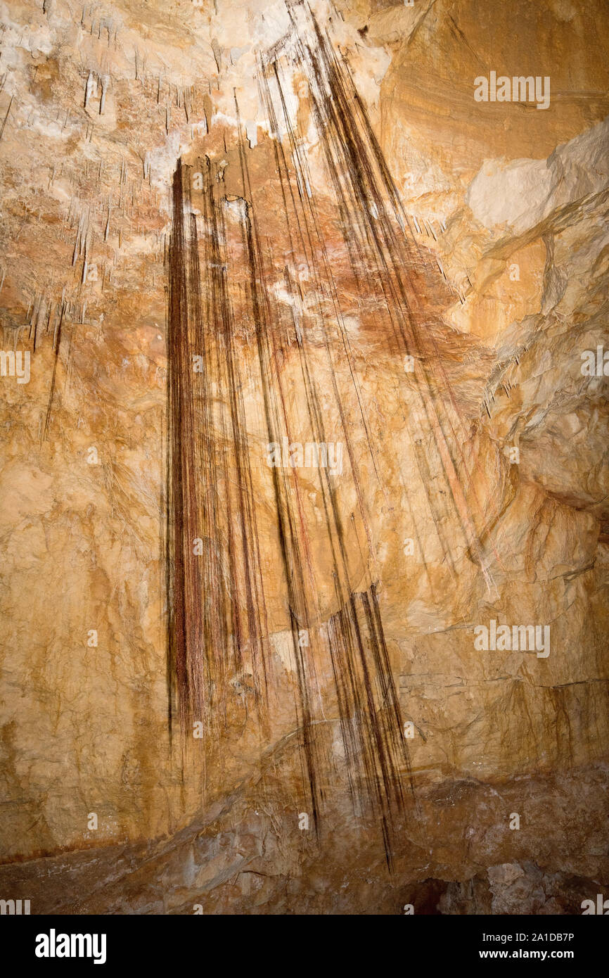 Cave tree roots hi-res stock photography and images - Alamy