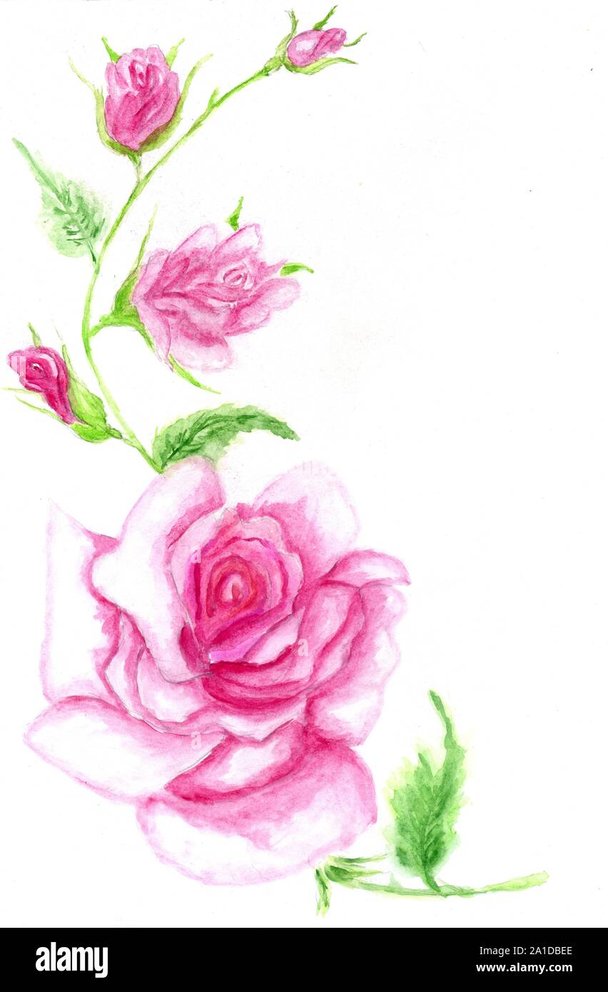 Decorative nature themed frame with flowers in watercolors Stock Photo ...