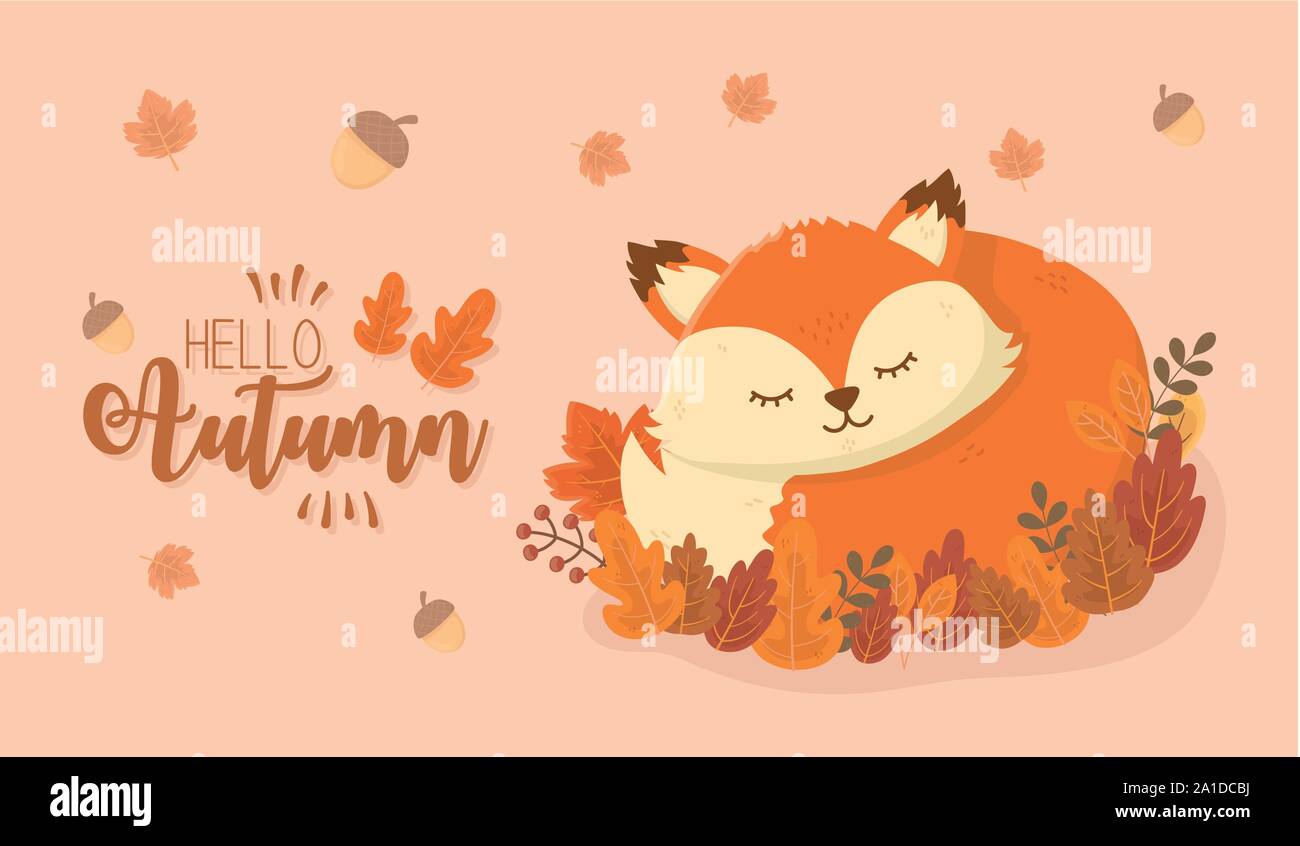 sleeping fox on leaves hello autumn season design Stock Vector Image ...