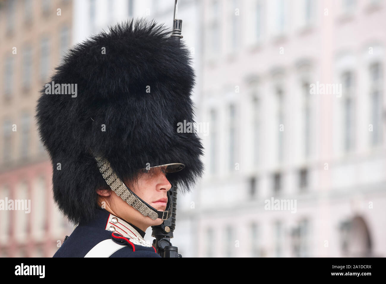Denmark royal guard sentinel. Copenhaguen tourism landmark ceremonial ...