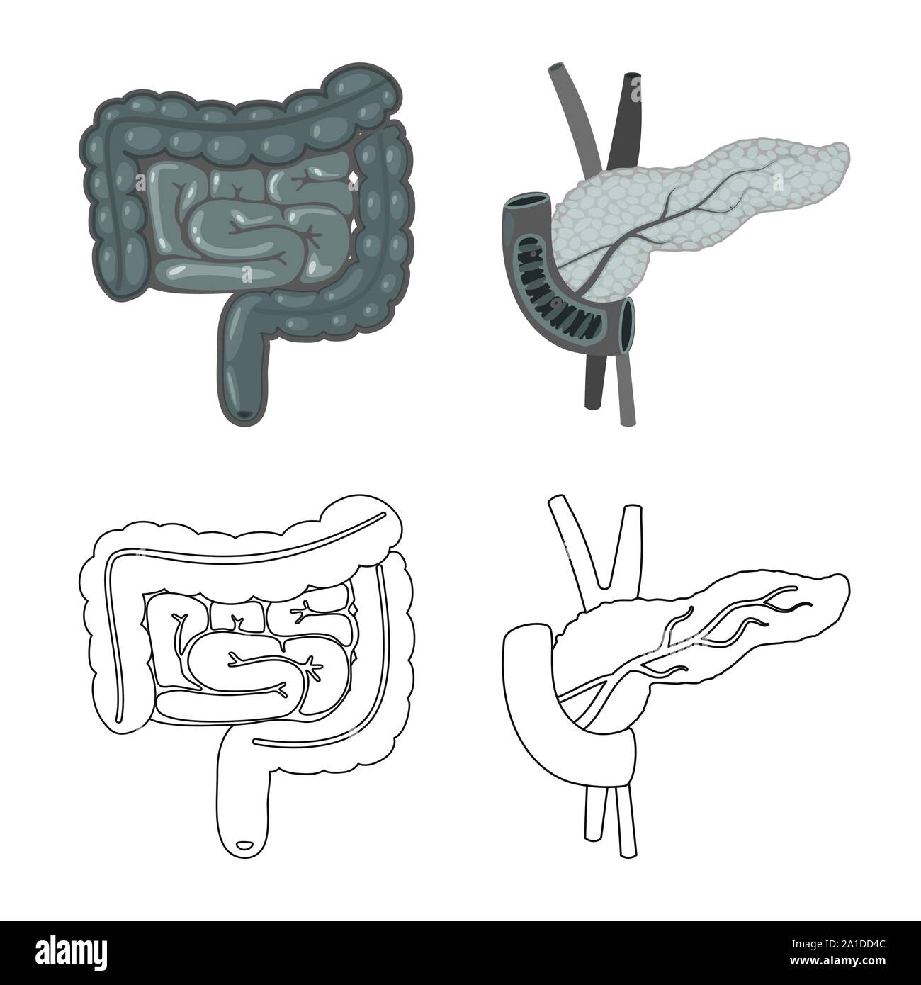 Vector design of biology and scientific symbol. Collection of biology ...