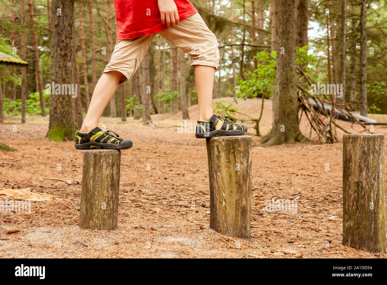 Boy balancing on trees - jumping from one to the other Stock Photo - Alamy