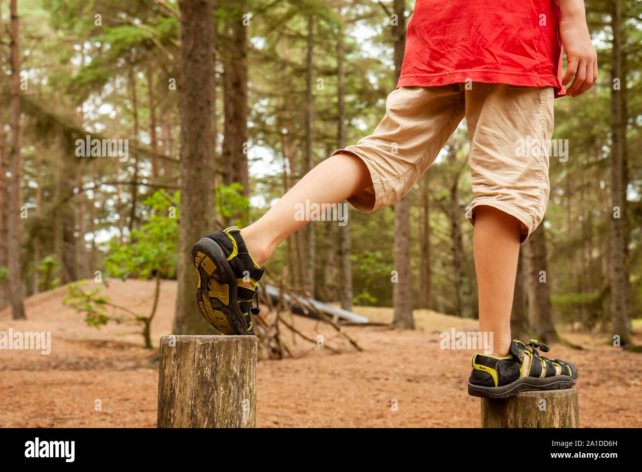 Boy jumping from tree hi-res stock photography and images - Alamy